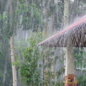 Extreme Weather and How To Stay Safe - Contact FamilySAFE